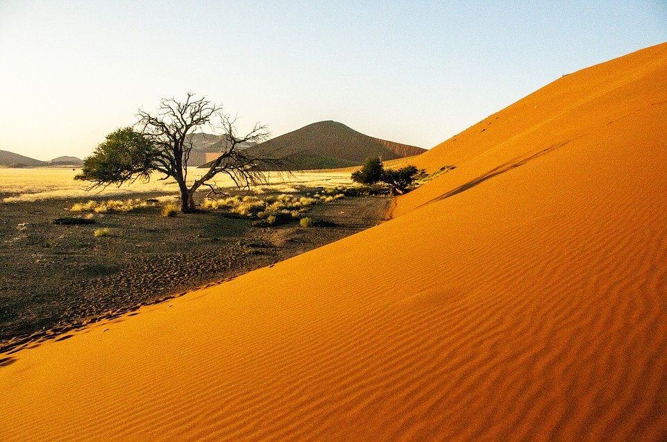 Church Bells in the Desert: a Homecoming - The Vanguard Voice